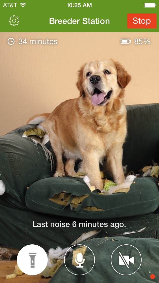 Dog Monitor - Pet monitoring app for iPhone, iPad, Android and Mac